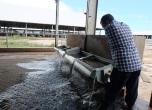 Aqua Dump Water Trough - VES-Artex