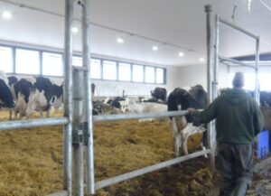 Flip-Over Gates - VES-Artex